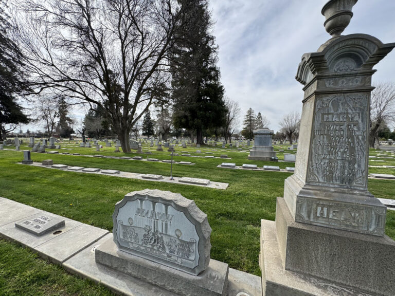 Arbor Vitae Cemetery