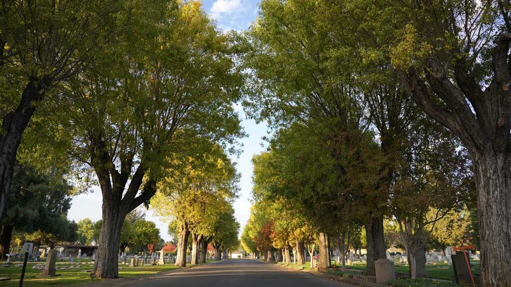 Madera Cemetery District – An Endowment Care Cemetery