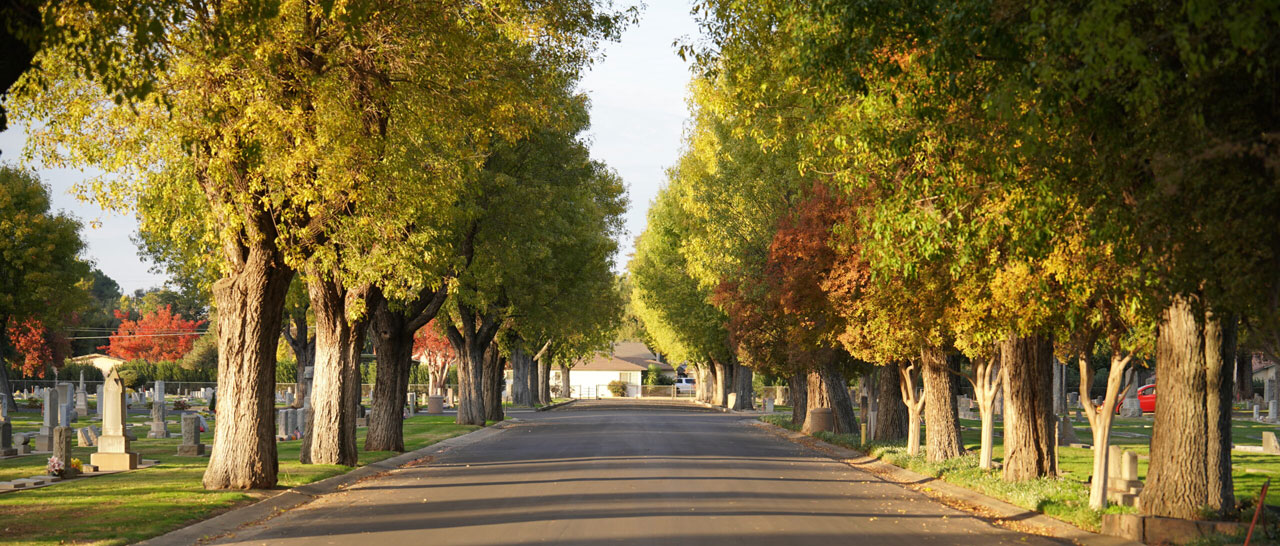 "It is the district's mission to manage and maintain all its cemeteries ...